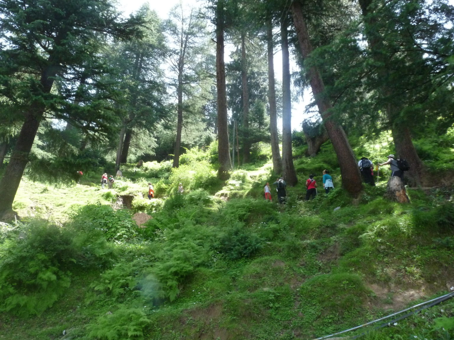 Hamta Valley Circuit Trek - Chalo!Reisen